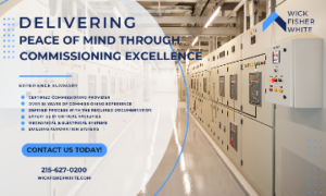US Members - ACG: AABC Commissioning Group